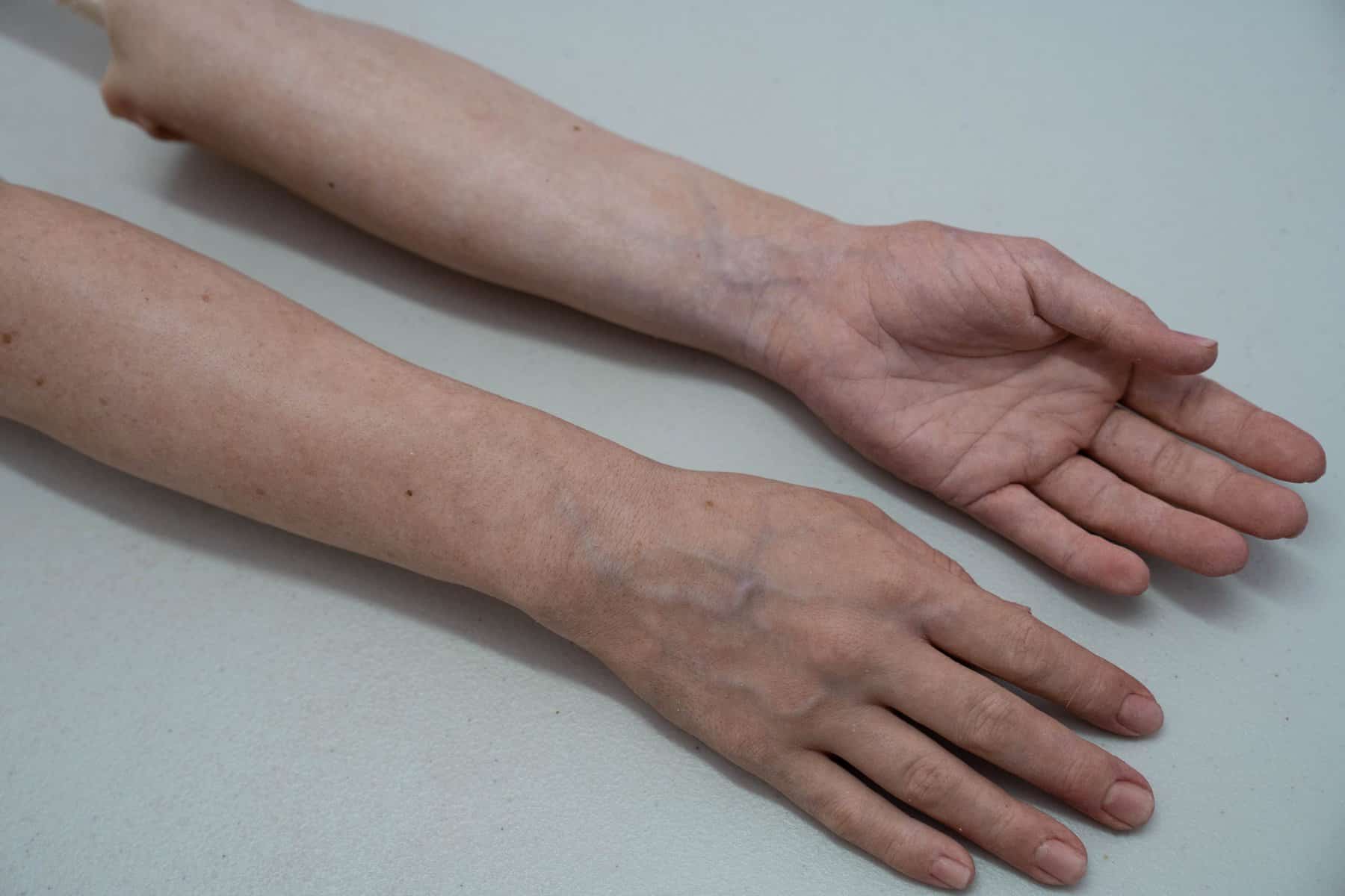 Who is Freakmo? (Part 1) - The Makeup Refinery